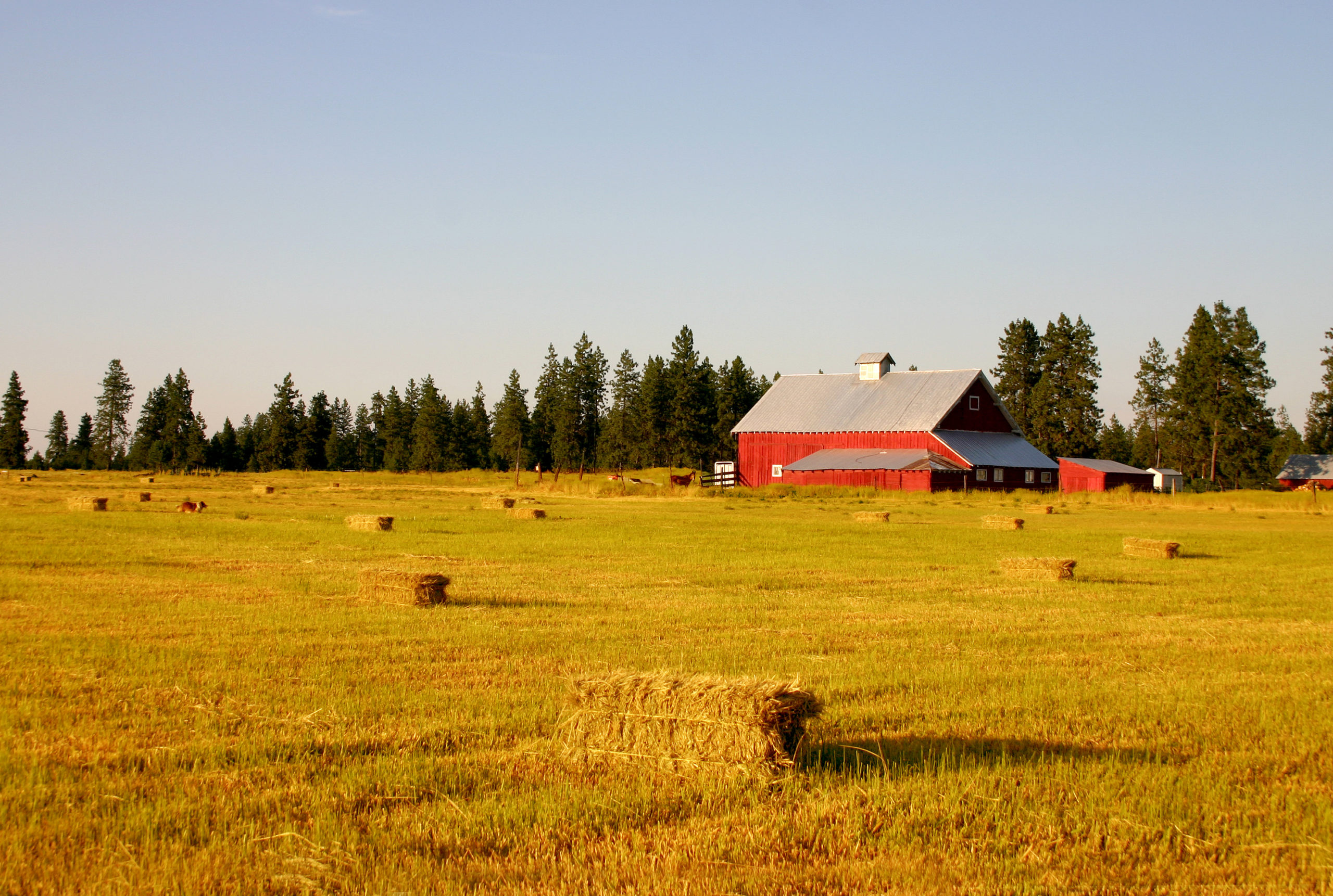 Agriculture Insurance | Adams Insurance Advisors | 800.508.6034